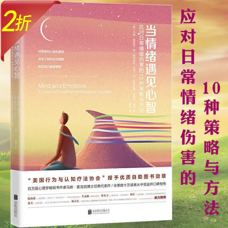 当情绪遇见心智：应对日常情绪伤害的10种策略与方法 大道理都懂小情绪难控从根源山摆脱情绪障碍
