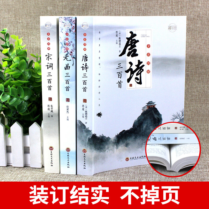 全3册 唐诗三百首唐诗宋词元曲全集古诗词大全集书全 高中生用鉴赏赏析诗词大会书籍全套 诗集古诗全唐诗