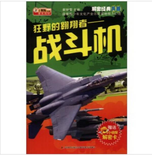 狂野的翱翔者-战斗机 崔钟雷著