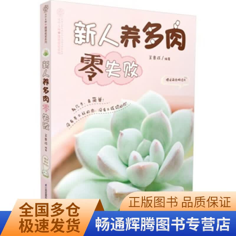 新人养多肉零失败【特惠】