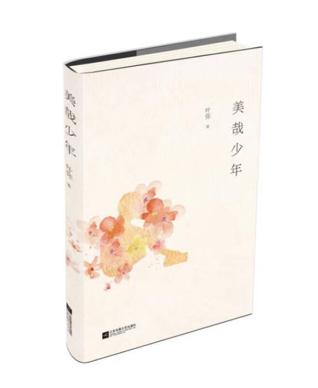 美哉少年【好书】