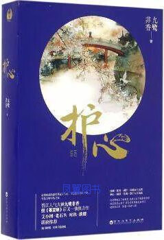 护心 九鹭非香著 百花洲文艺出版社