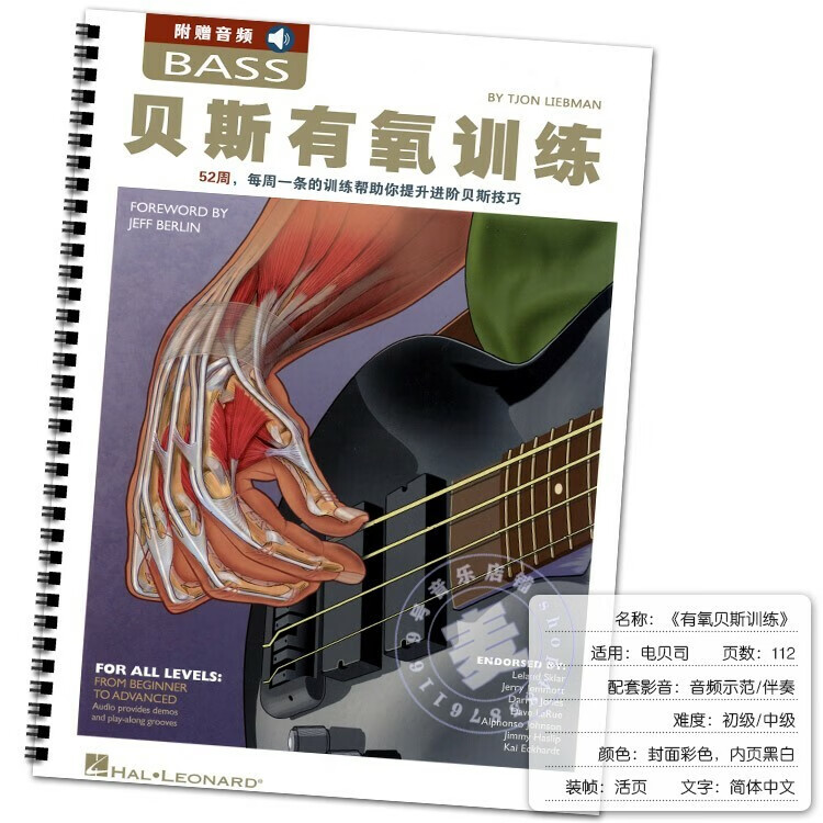 贝斯有氧训练贝司基本功系统练习手指技巧每日一练Bass Aerobics