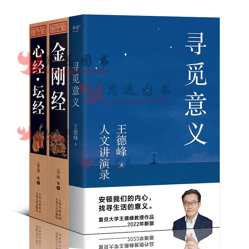 全3册】寻觅意义+金刚经+坛经心经王德峰六祖坛经慧能诠释哲学思想系列书籍