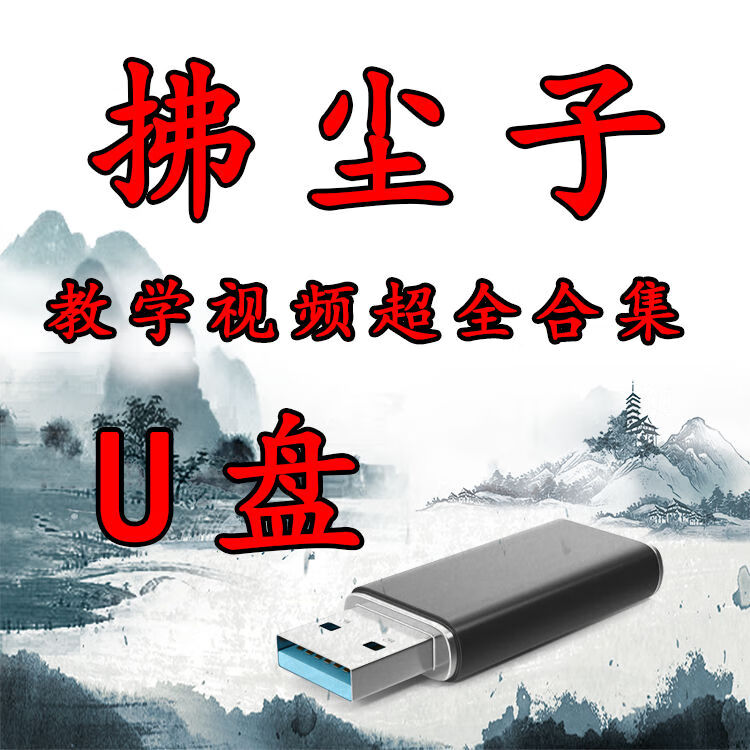 拂尘子教学视频超全合集 U盘学习资料 自学课程 64GB 全集视频