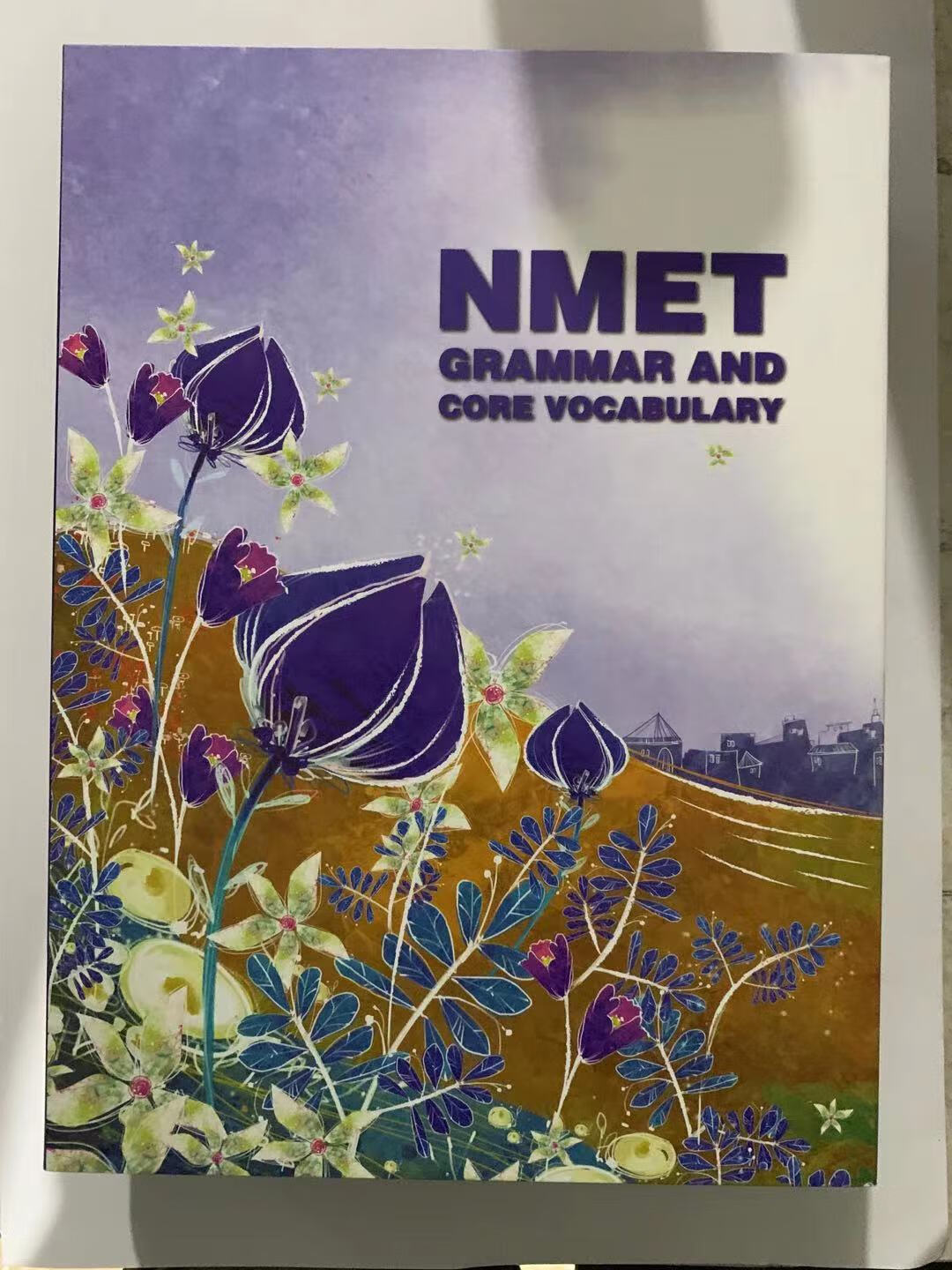 2024年陶然Free NMET高考英语讲义1783核心词汇2023一二轮百文斩 24年b站一轮语法词汇班讲义彩印1本