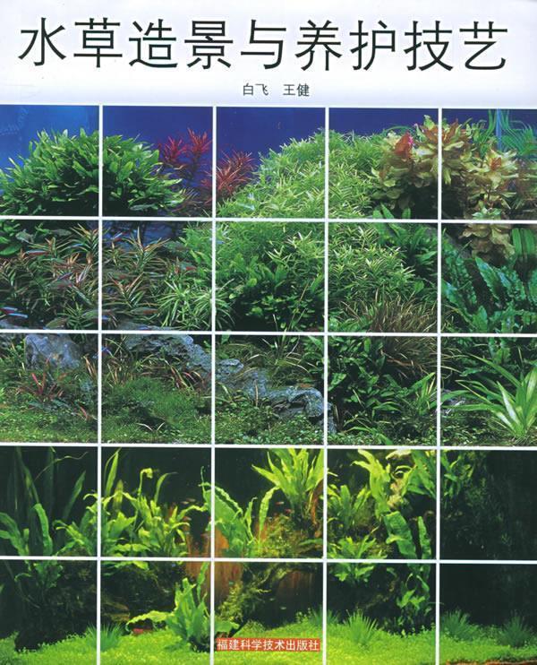 水草造景与养护技艺 白飞,王健 编著【书】