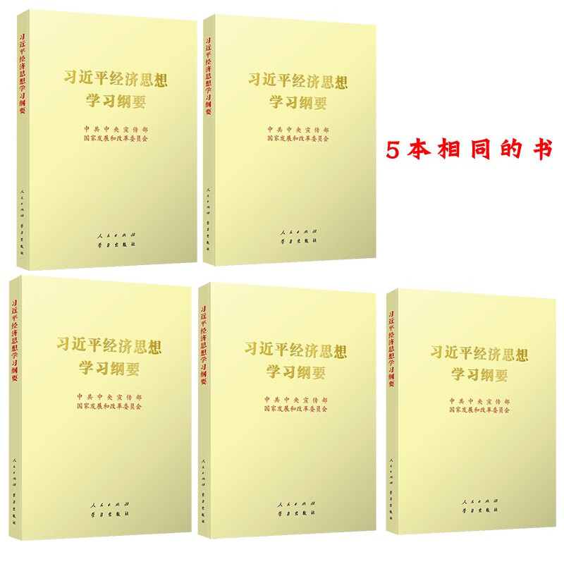 （5本装）习近平经济思想学习纲要 16开大字本