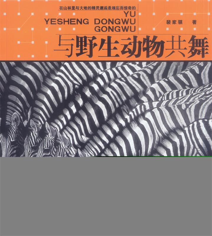 与野生动物共舞