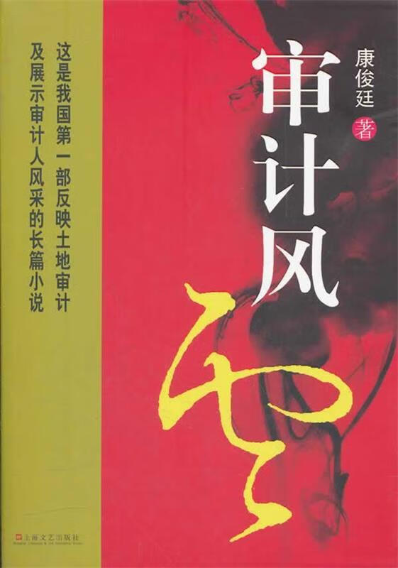审计风云 康俊廷著【书】