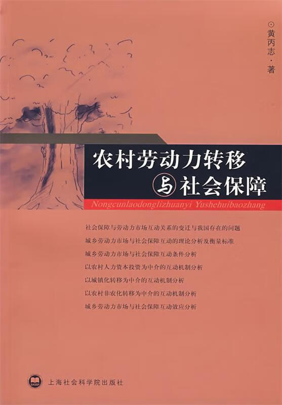 农村劳动力转移与社会保障 黄丙志 著【书】