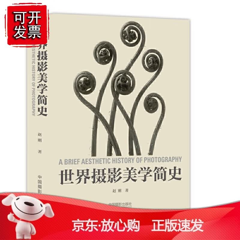 世界摄影美学简史