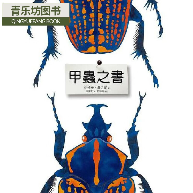 预售 甲虫之书 远流 史提夫-詹金斯