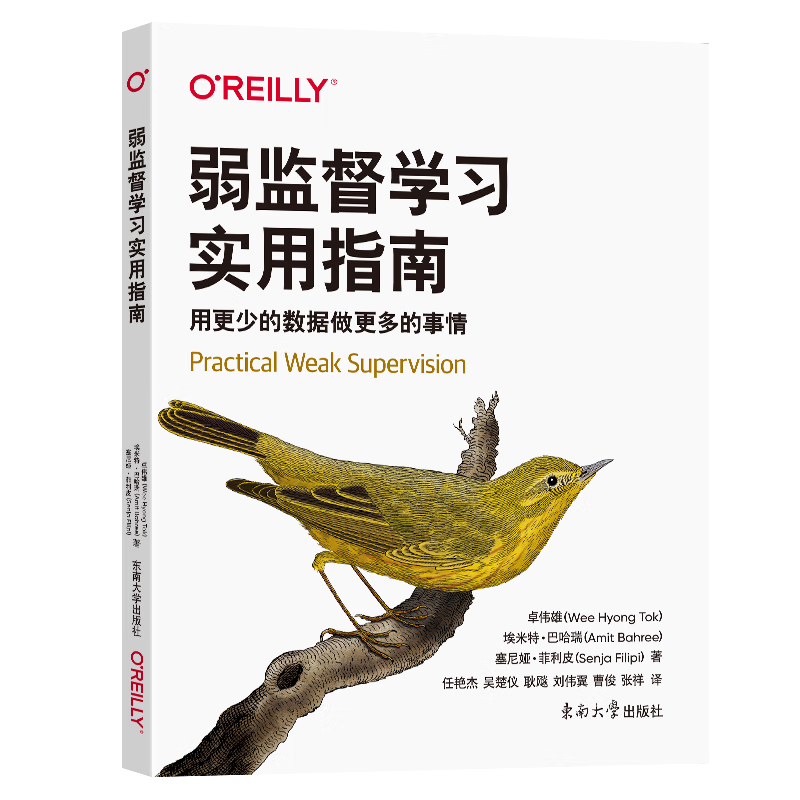弱监督学习实用指南