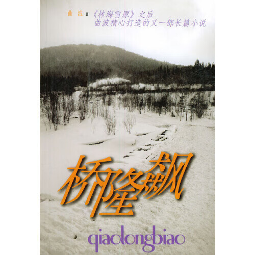 桥隆飙【好书】