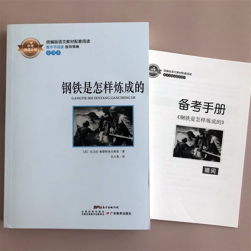 2024新版 钢铁是怎样炼成的 中考阅读计划 阅读全本名著阅读课程化丛书 初中课外读物名著 广东教育出版社