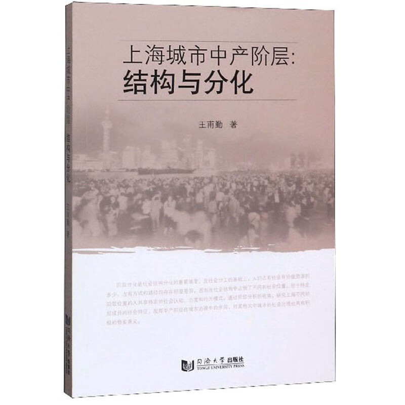 上海城市中产阶层 结构与分化【好书】