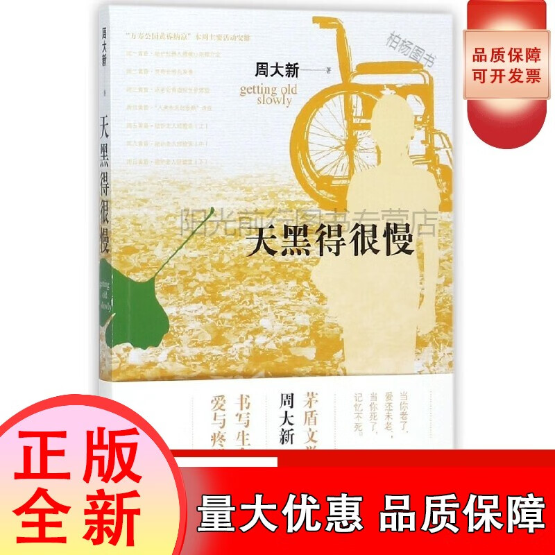 周大新 天黑得很慢 入围2018中国好书 茅盾文学得主长篇文学小说现当代文学小说老龄社会 天黑的很慢书获小说