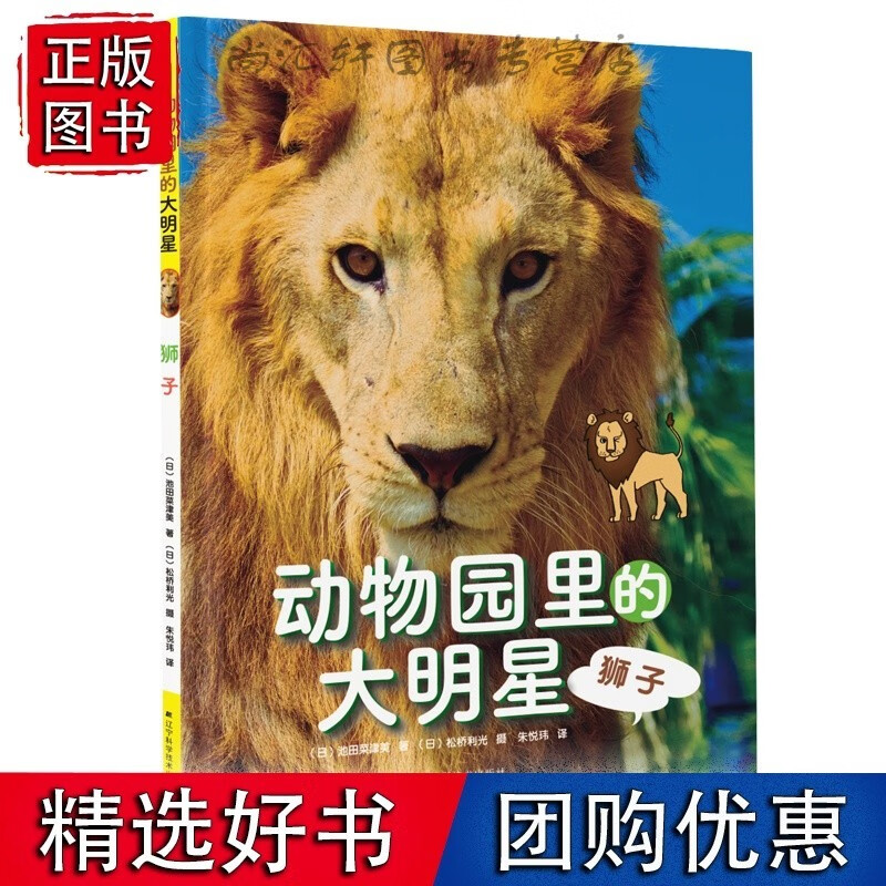 动物园里的大明星：狮子