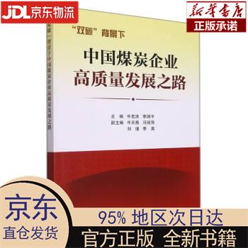 双碳背景下中国煤炭企业高质量发展之路 牛克洪,李润平 编 中国矿业大学出版社