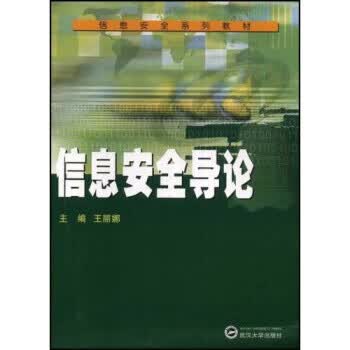 信息系列:信息导论 王丽娜 武汉社
