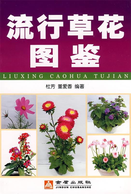 流行草花图鉴