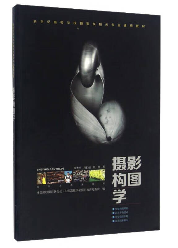 摄影构图学9787541063930【好书】