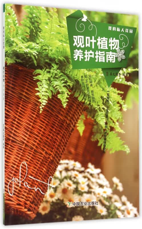 观叶植物养护指南(我的私人花园)