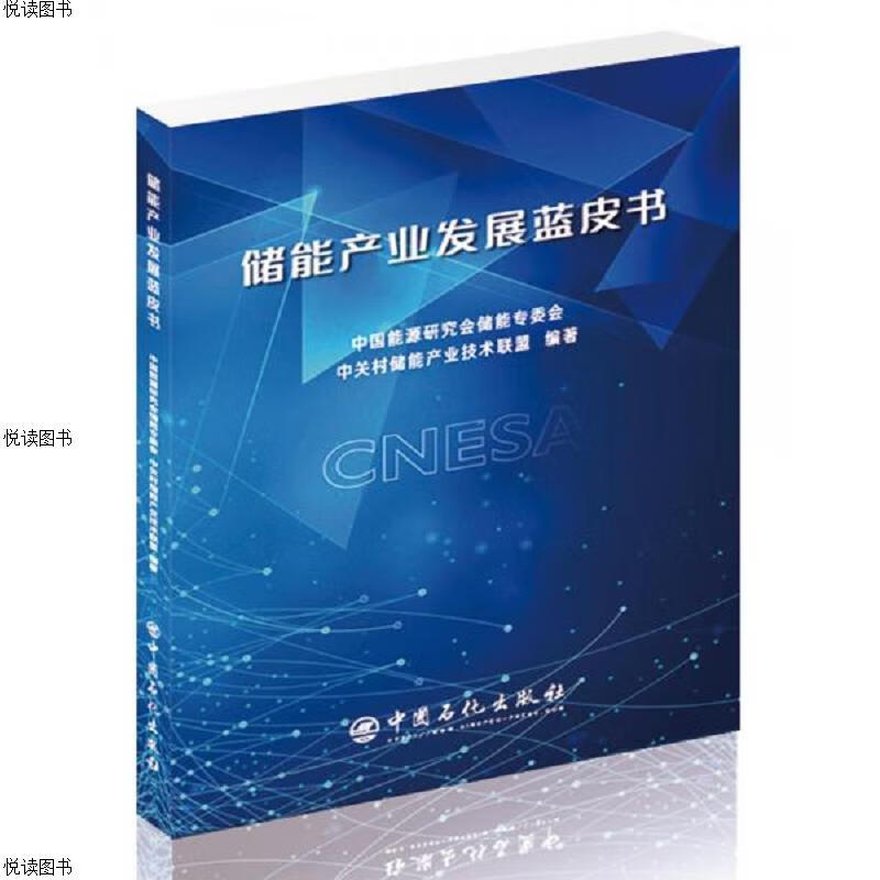储能产业发展蓝皮书
