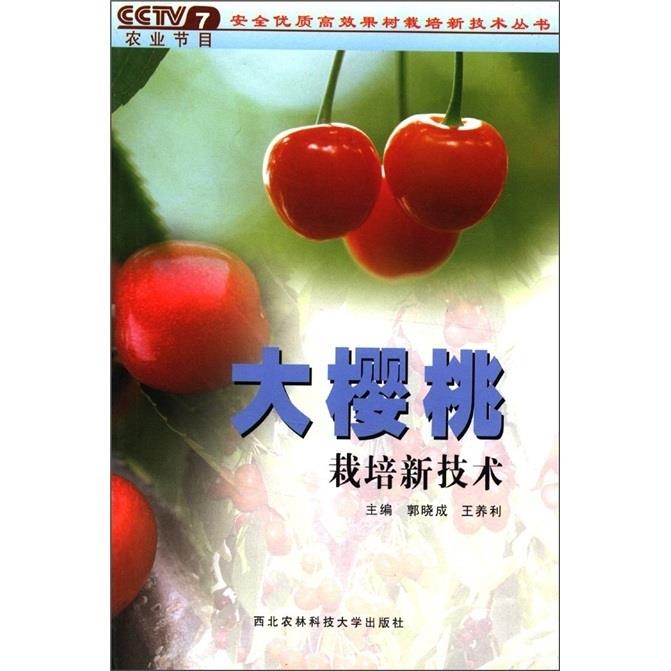 大樱桃栽培新技术