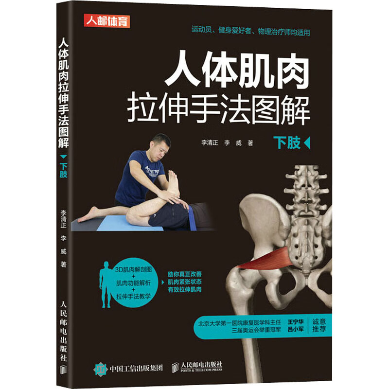 人体肌肉拉伸手法图解 下肢 图书