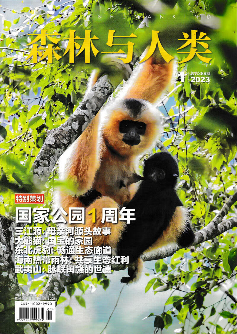 【现货速发】森林与人类2023年1月+2022年10/11月+2021年11月+2020+201 红色