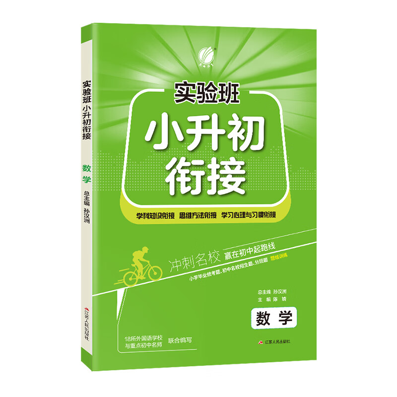 实验班小升初衔接教材 数学 备考2024年新版小学毕业升初中考试测试卷总复习知识大集结六年级辅导书