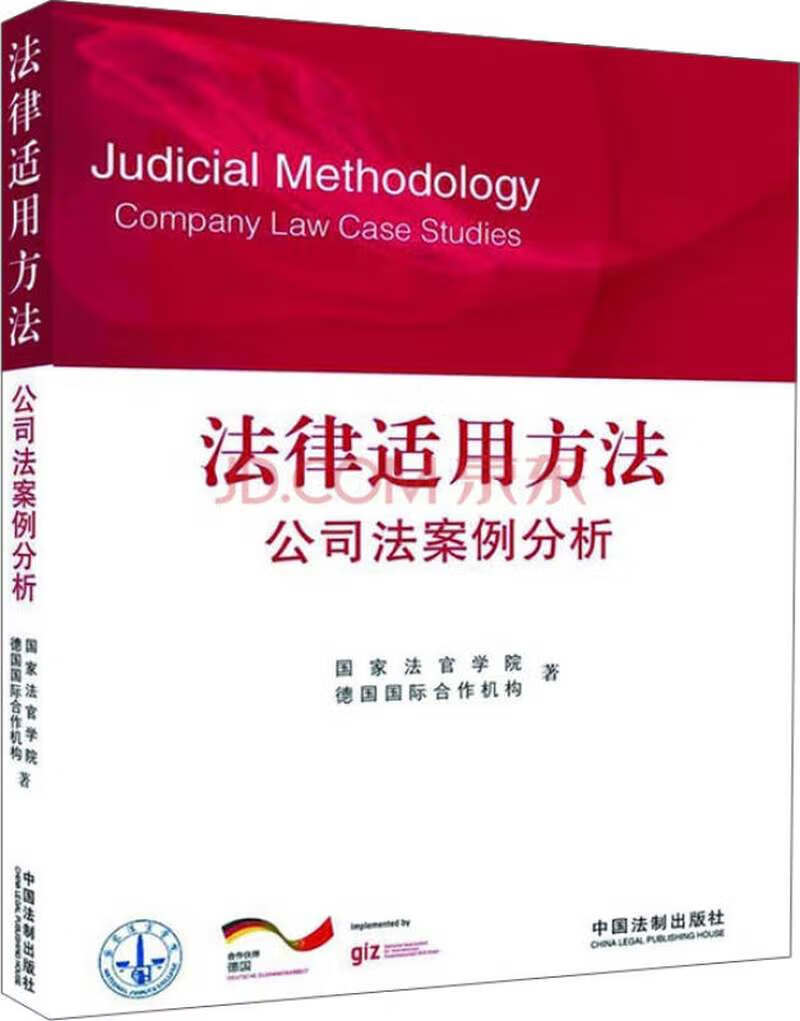 法律适用方法 公司法案例分析【好书】