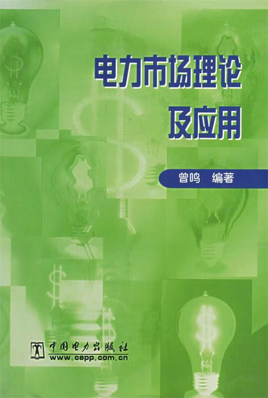 电力市场理论及应用