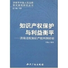 知识产权保护与利益衡平