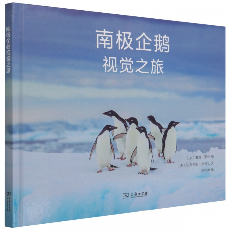 南极企鹅视觉之旅