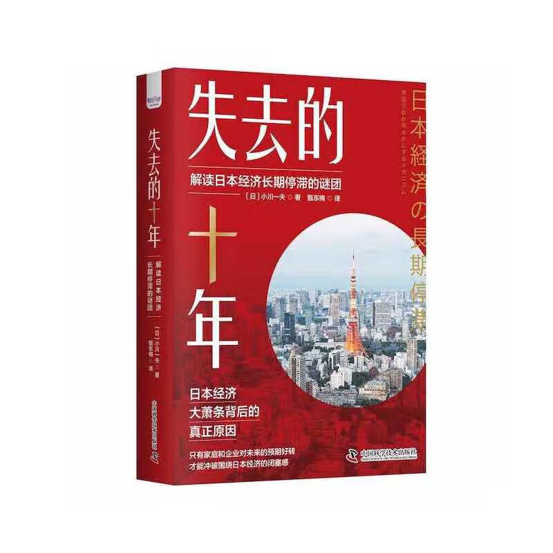 失去的十年-解读经济长期停滞的谜团