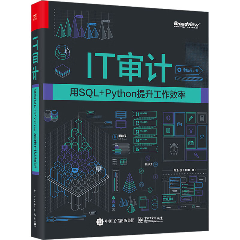 IT审计 用SQL+Python提升工作效率 涂佳兵 书籍