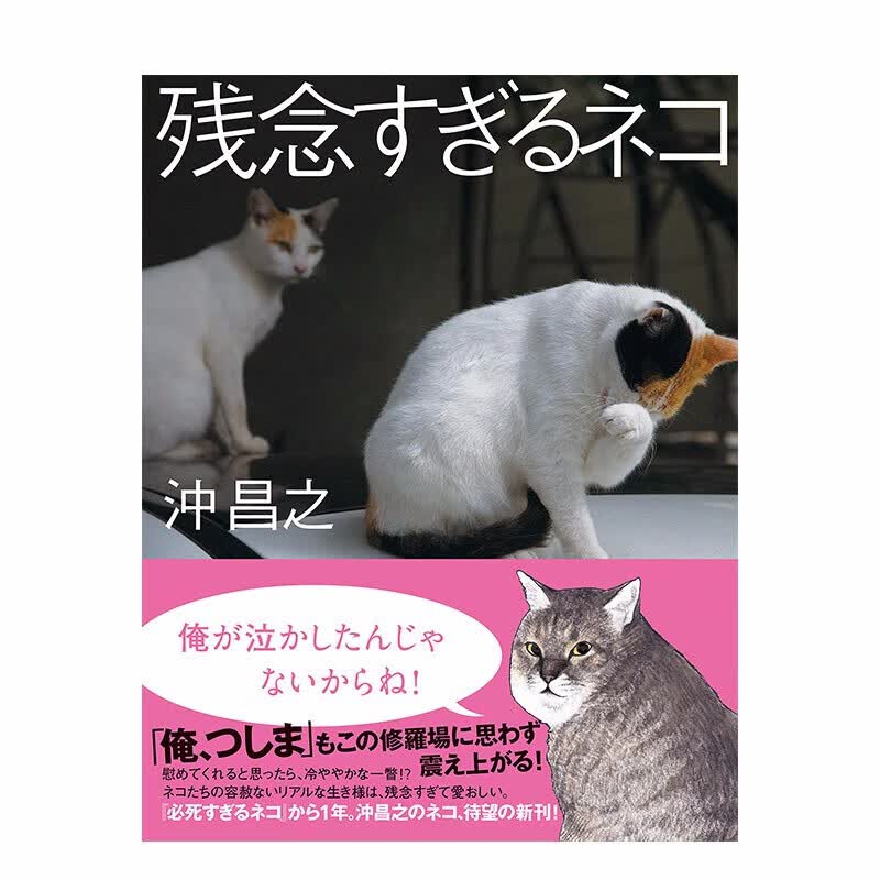 残念猫 残念すぎるネコ 进口日文原版 沖昌之 动物写真 摄影集