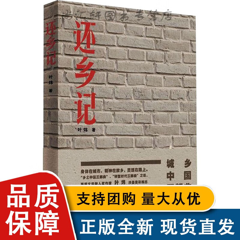 全新 还乡记 叶炜 著 现代/当代文学文学 图全新 安徽文艺出版社v