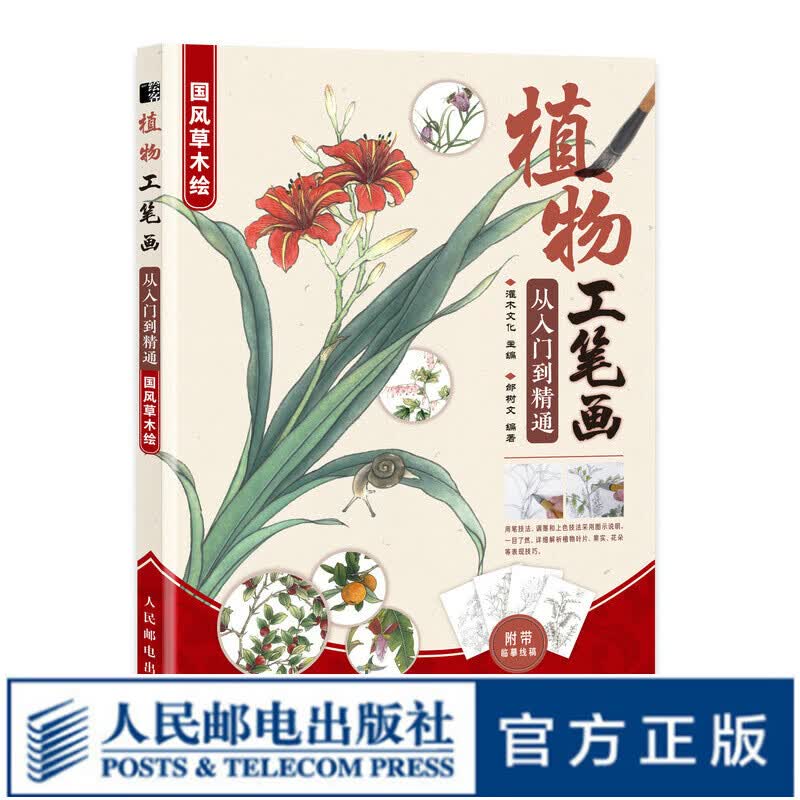 植物工笔画从入门到*通 国风草木绘 工笔国画教程书国画临摹画册白描描摹本水墨中国画初学入门绘画技法工笔花鸟植物水墨插画