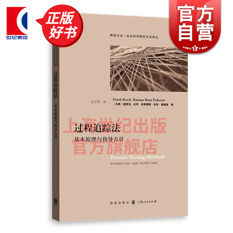 过程追踪法：基本原理与指导方针 格致出版社