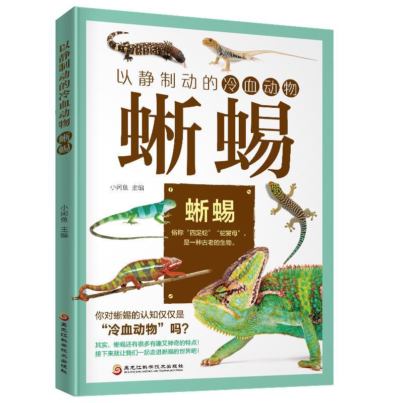 以静制动的冷血动物:蜥蜴小闲鱼黑龙江科学技术出版社9787538899146 家居书籍