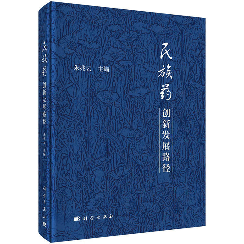 民族药创新发展路径