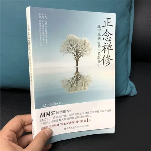 []正念禅修：在喧嚣的世界中获取安宁 有效打破焦虑 压力