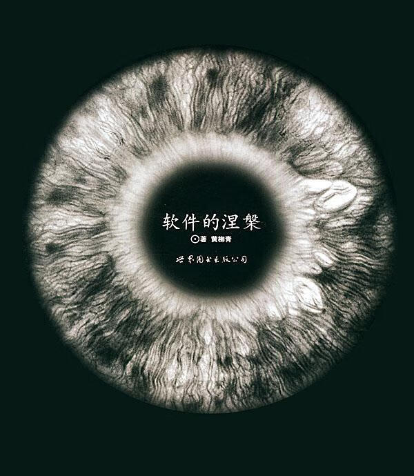 软件的涅槃 黄柳青 著