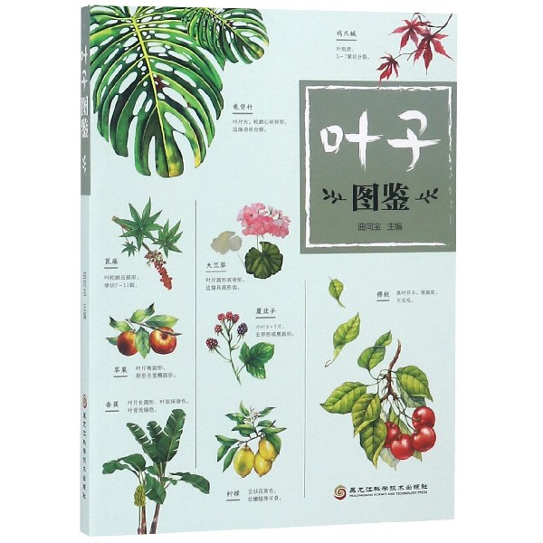 叶子图鉴