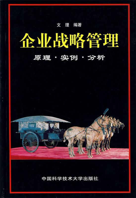 企业战略原理原理实例分析