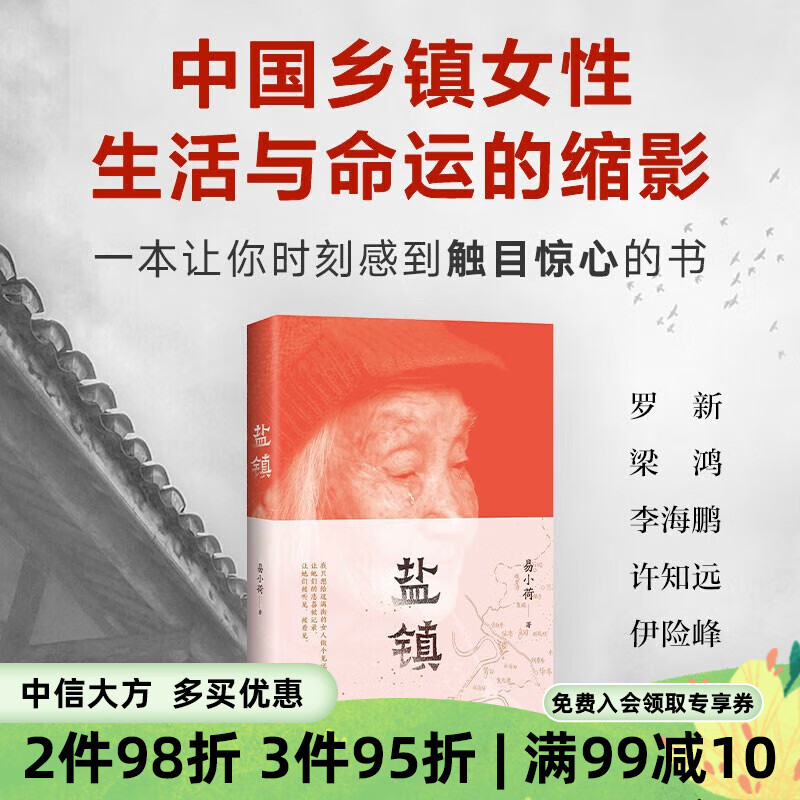 盐镇 易小荷 著 中国乡镇女性 生活命运 纪实文学